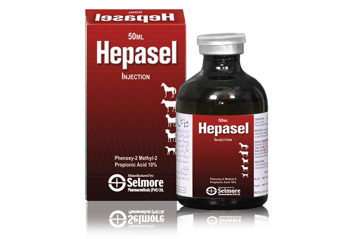 HEPASEL