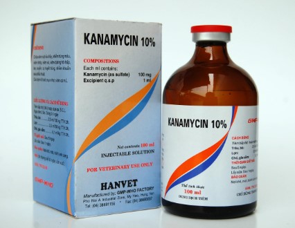 KANAMYCIN